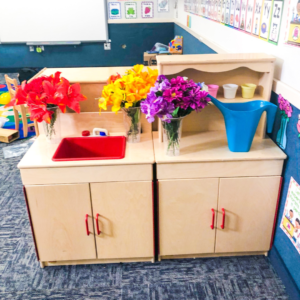 Dramatic Play Center: Flower Shop - Teach Pre-K