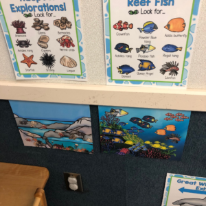 Dramatic Play Center: Aquarium - Teach Pre-K