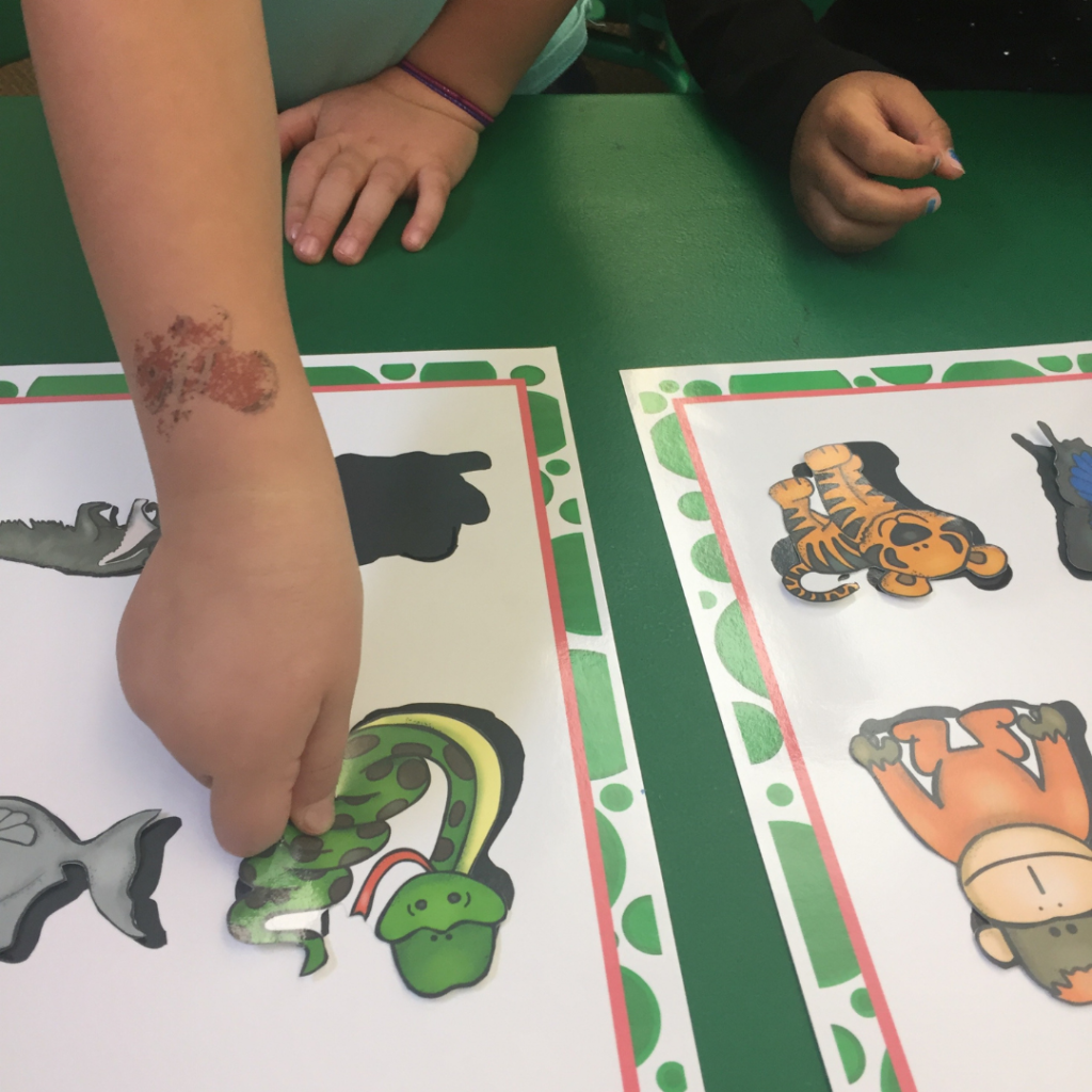 Rainforest Theme | Activities for Preschool - Teach Pre-K