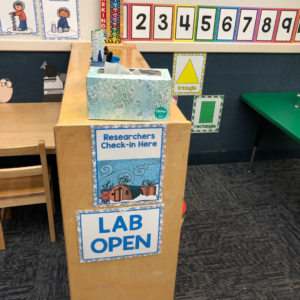 Dramatic Play Center: Arctic & Polar Animals - Teach Pre-K