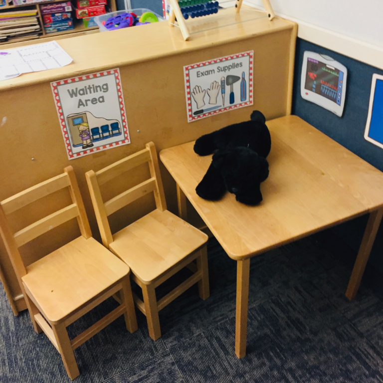 Dramatic Play Center: Veterinarian - Teach Pre-K