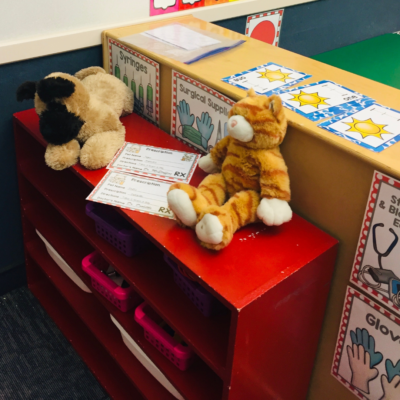 Dramatic Play Center: Veterinarian - Teach Pre-K